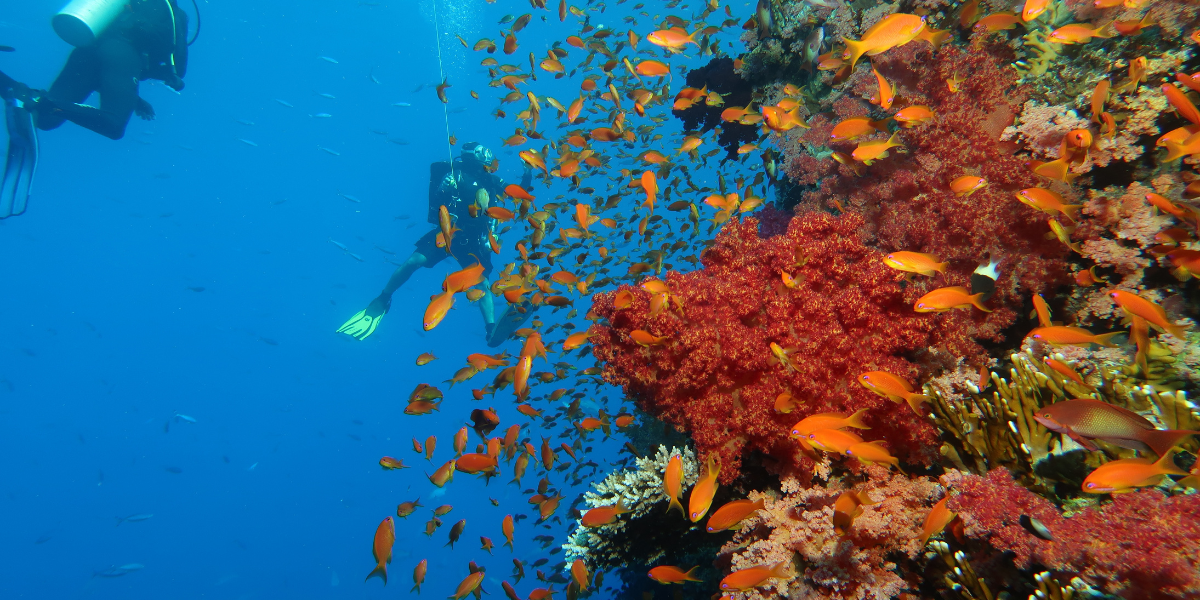 Broadreach Outfitters